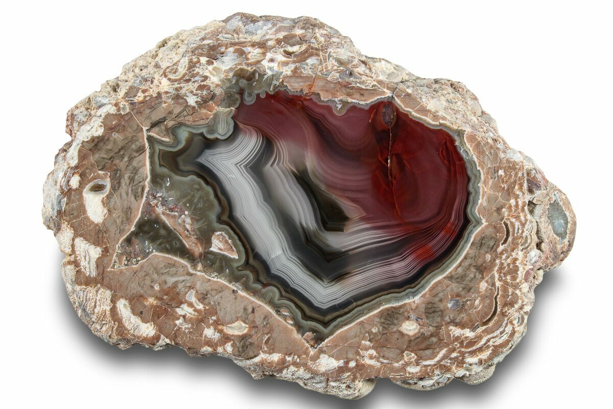 3.05" Polished Baker Ranch Thunderegg (Half) - New Mexico (#245245) For ...