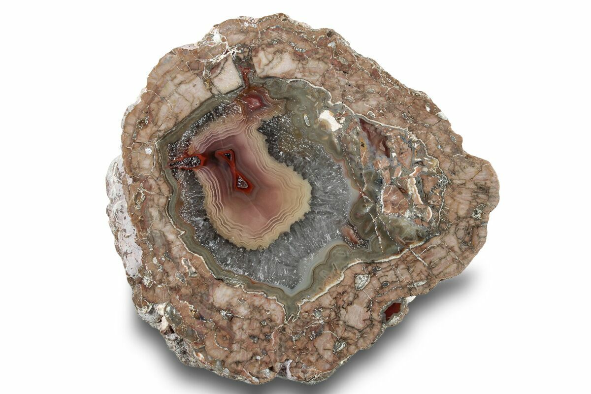2.8" Polished Baker Ranch Thunderegg (Half) - New Mexico (#245254) For ...