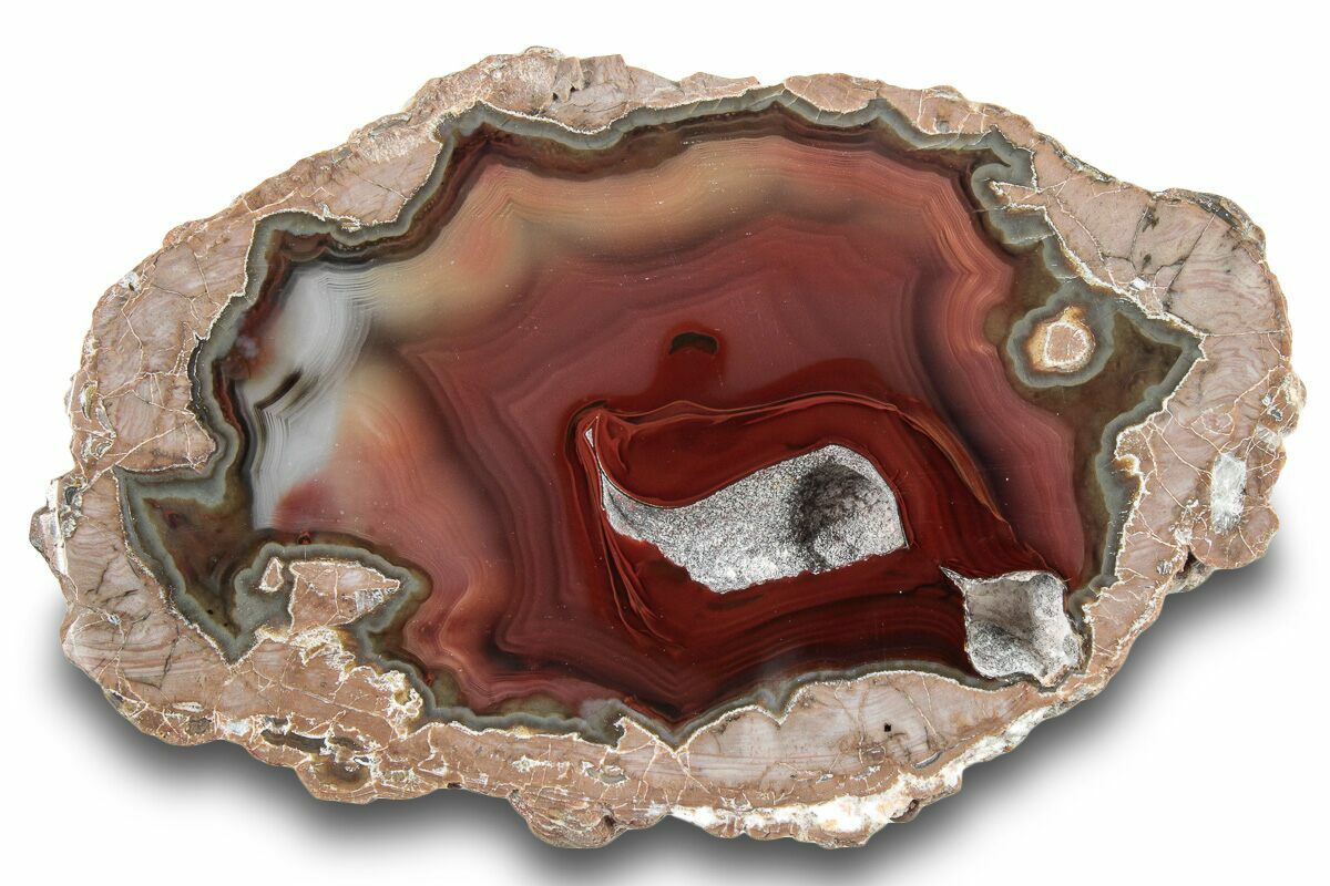 3.5" Polished Baker Ranch Thunderegg (Half) - New Mexico (#245258) For ...