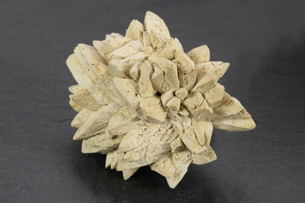 1.6" Stellate Glendonite (Calcite Pseudomorph) Cluster - Russia ...