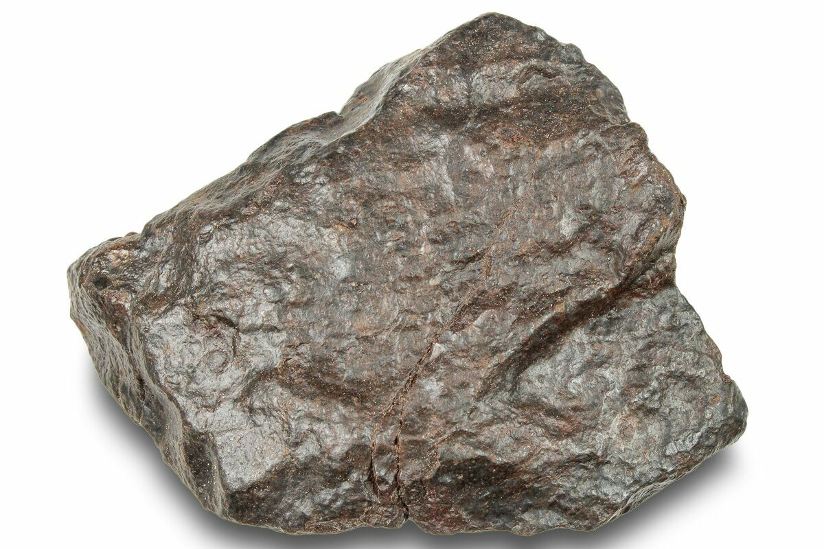 2.9" Chondrite Meteorite (162 g) - Western Sahara Desert (#247523) For ...