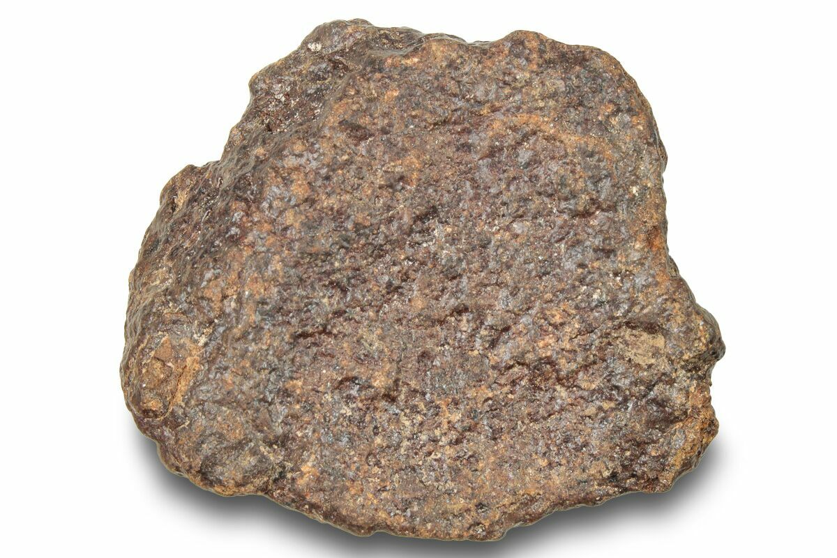 1.3" Chondrite Meteorite (21.5 g) - Western Sahara Desert (#247514) For ...