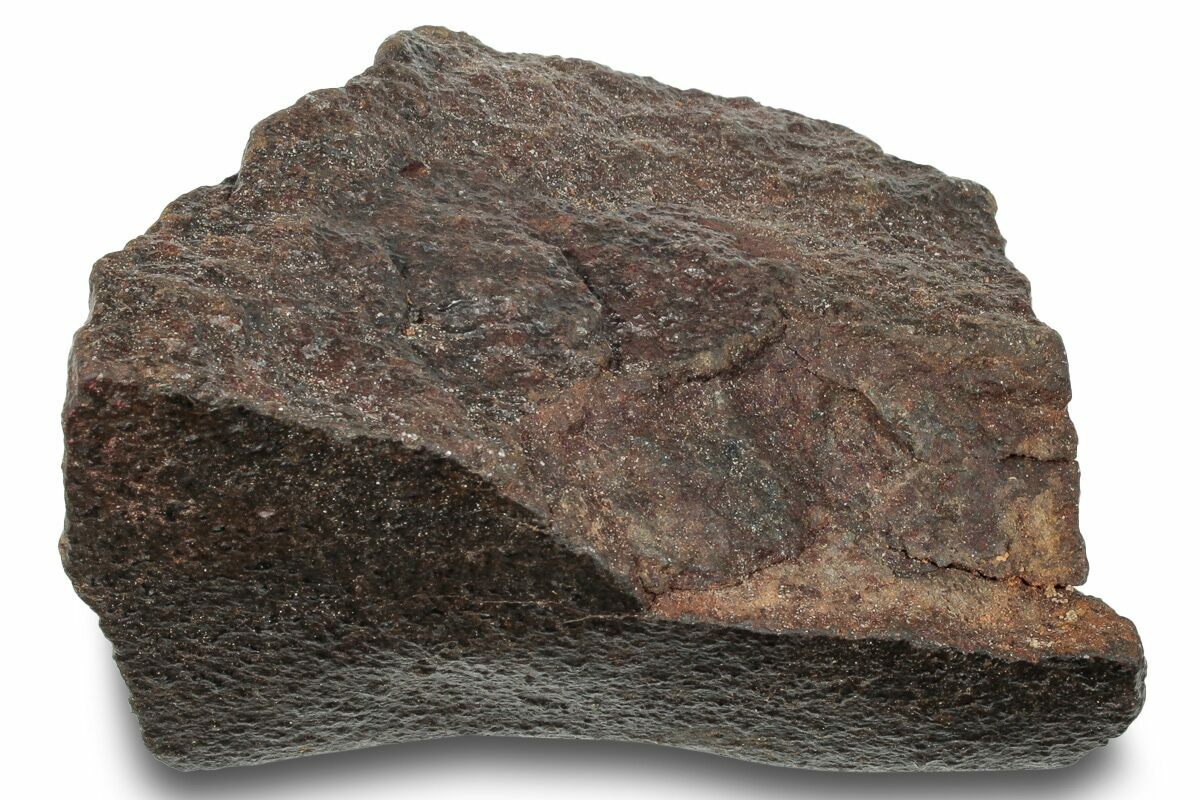 3" Chondrite Meteorite (233 g) - Western Sahara Desert (#247560) For ...