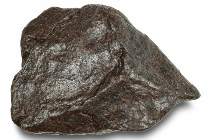 3.5" Chondrite Meteorite (335 g) - Western Sahara Desert (#247561) For ...