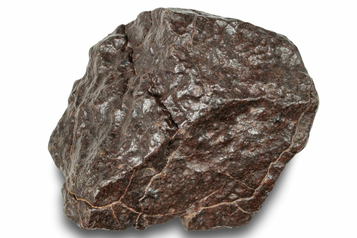 3" Chondrite Meteorite (385 g) - Western Sahara Desert (#247562) For ...
