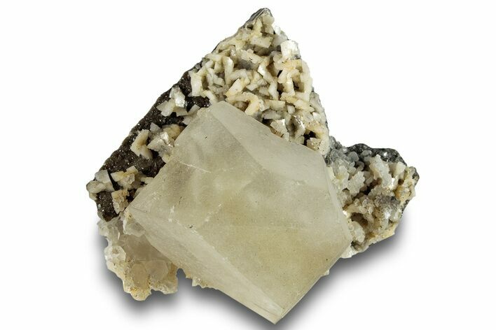 2.5" Calcite Crystal on Dolomite - New York (#247247) For Sale ...