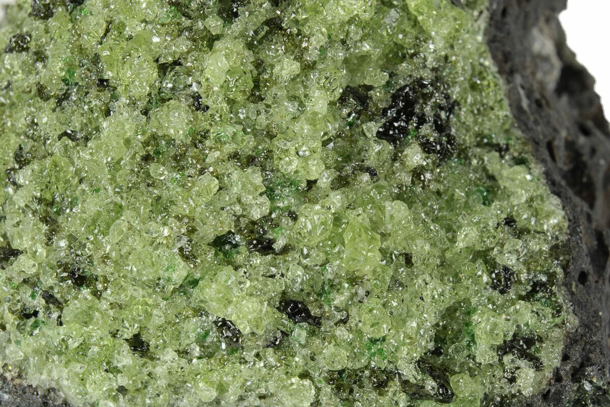 3.4" Peridot in Basalt - Arizona (#247744) For Sale - FossilEra.com