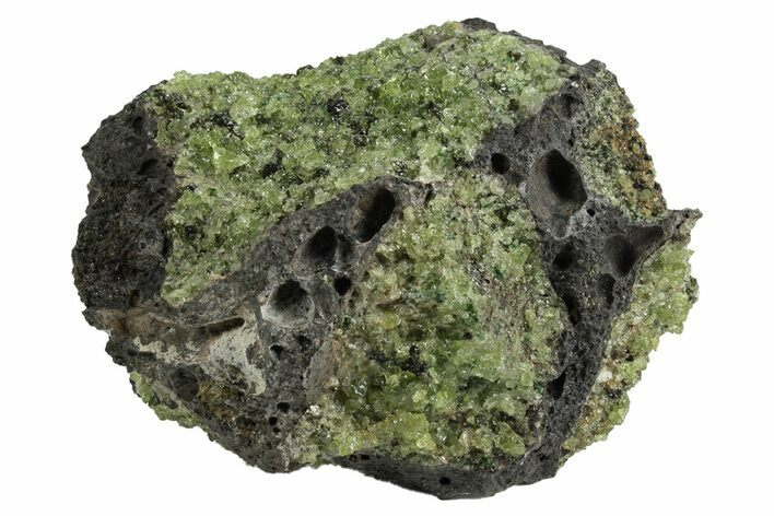 4" Peridot in Basalt - Arizona (#247746) For Sale - FossilEra.com