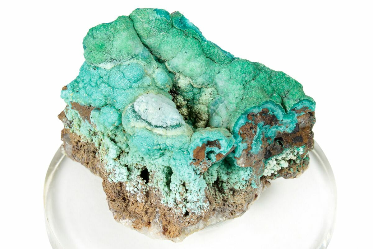1.6" Forest Green Conichalcite on Chrysocolla - Namibia (#247972) For ...