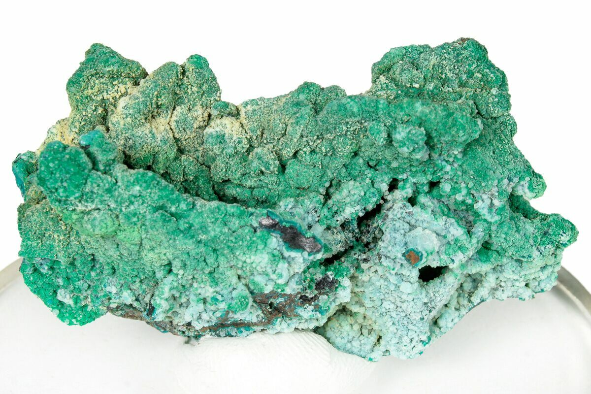 2.3" Forest Green Conichalcite on Chrysocolla - Namibia (#247977) For ...