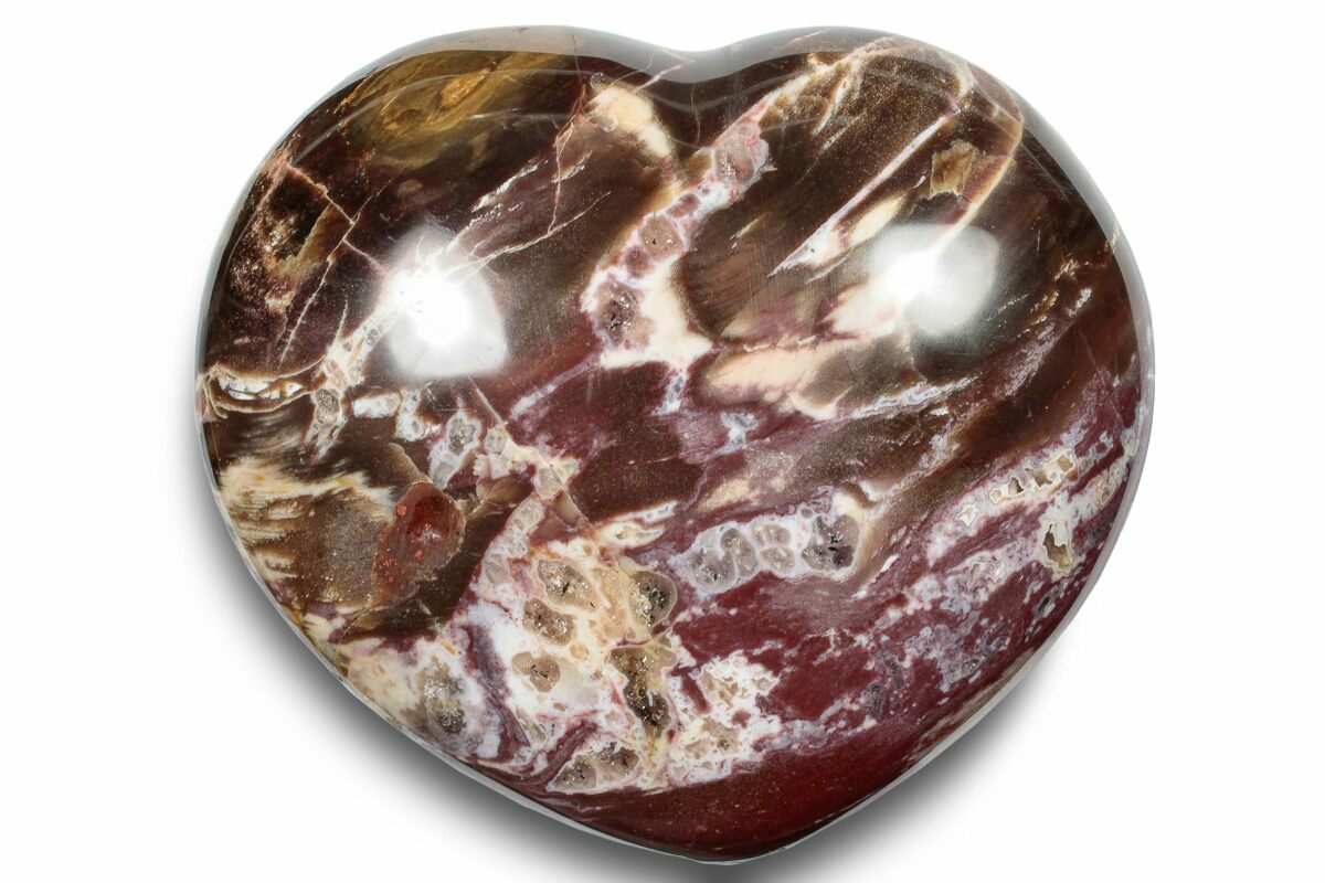 3.4" Polished Triassic Petrified Wood Heart - Madagascar (#249178) For ...