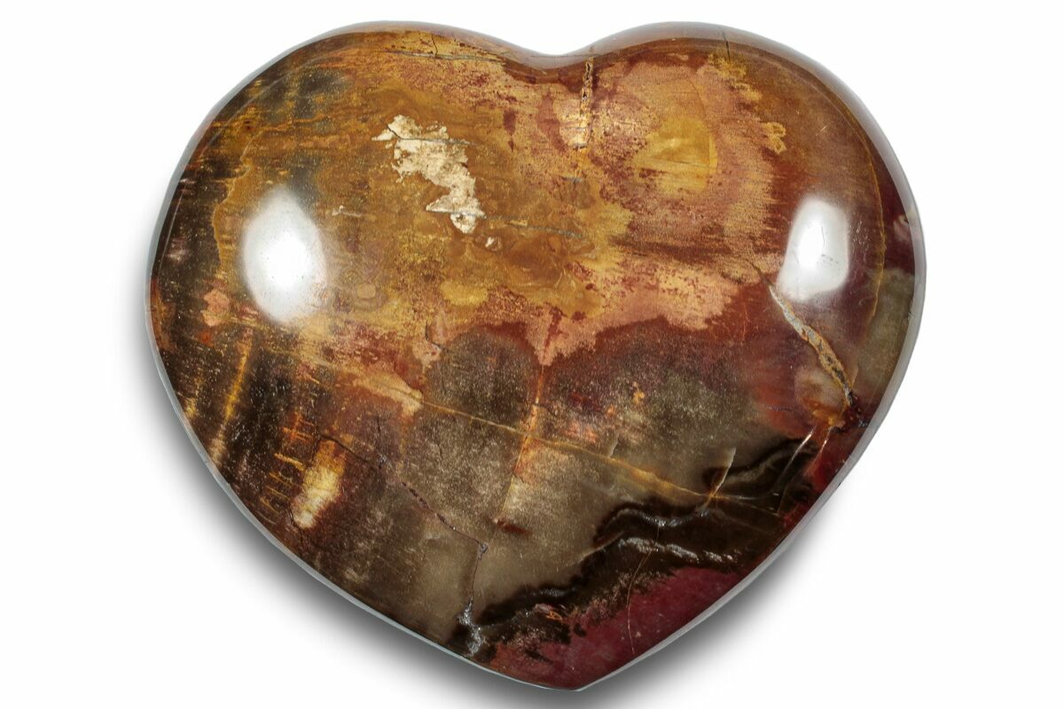 3.3" Polished Triassic Petrified Wood Heart - Madagascar (#249180) For ...