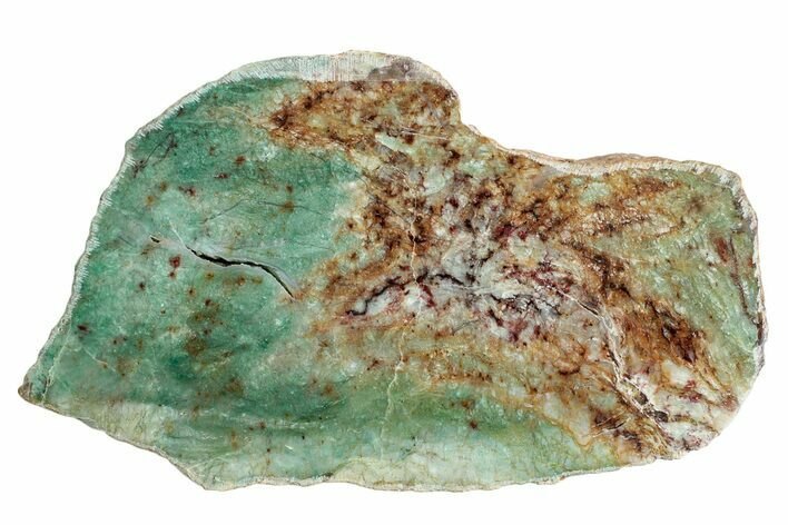 6.5" Polished Fuchsite Chert (Dragon Stone) Slab - Australia (#250370 ...