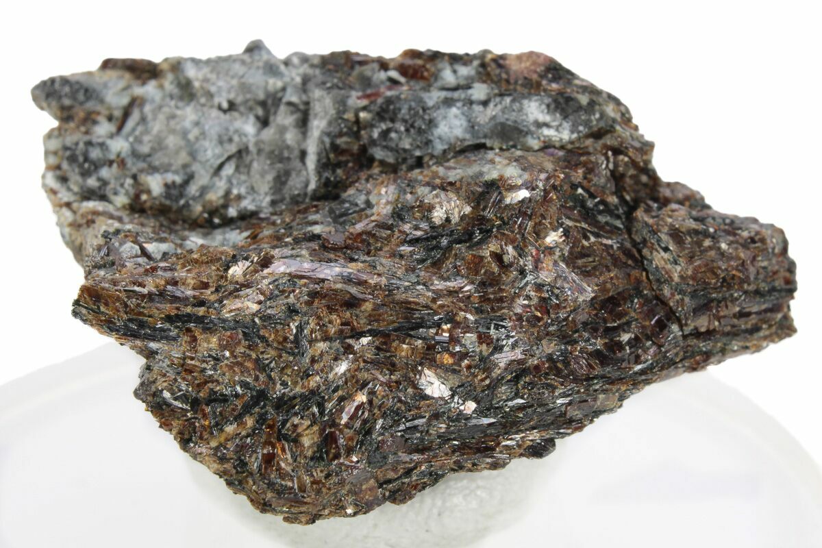 1.5" Lamprophyllite Crystal Aggregations in Matrix - Russia (#251084 ...