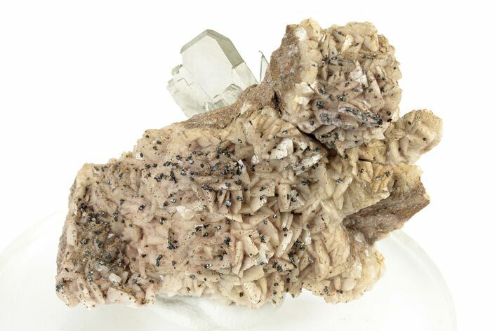 2.2" Stunning Blue Bladed Barite Crystal Cluster - Peru (#252529) For ...