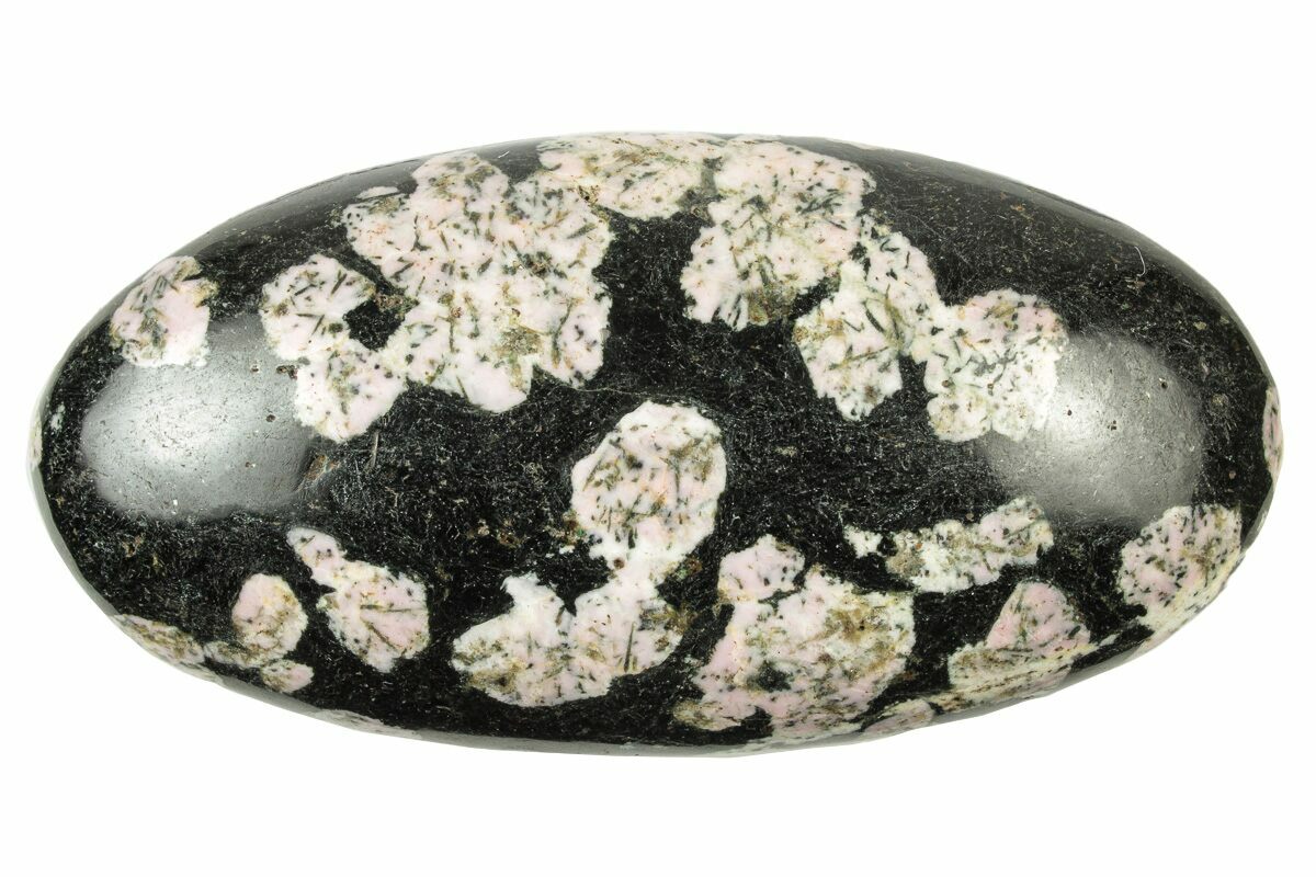 3.5" Polished Snowflake Stone - Pakistan (#252604) For Sale - FossilEra.com