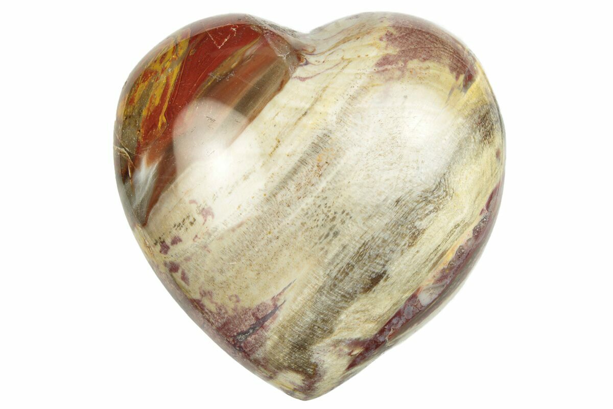 2.8" Polished Triassic Petrified Wood Heart - Madagascar (#249197) For ...