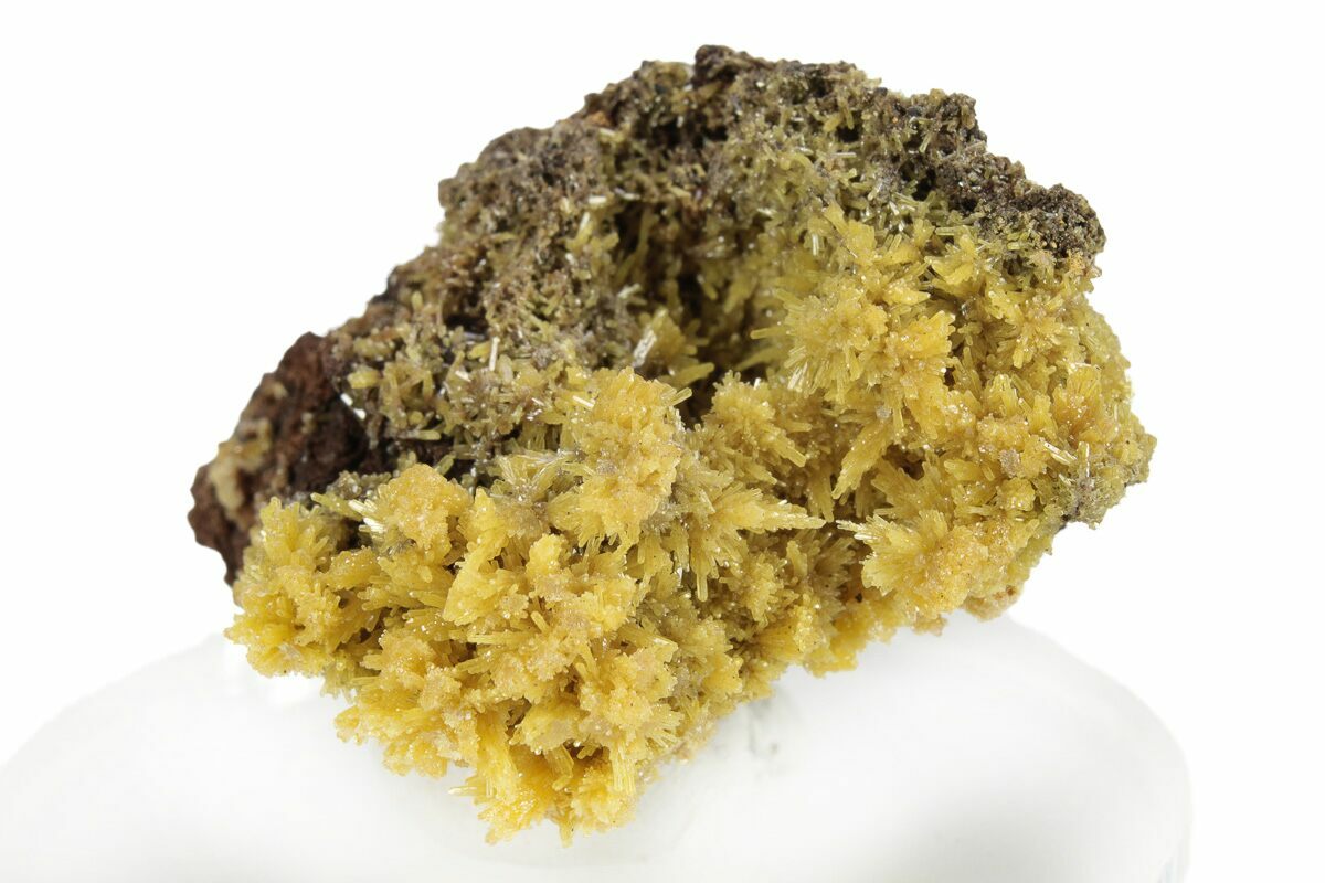 1.3" Mimetite Crystal Clusters on Limonitic Matrix - Mexico (#256287 ...