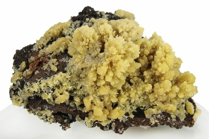 1.65" Mimetite Crystal Clusters on Limonitic Matrix - Mexico (#256290 ...