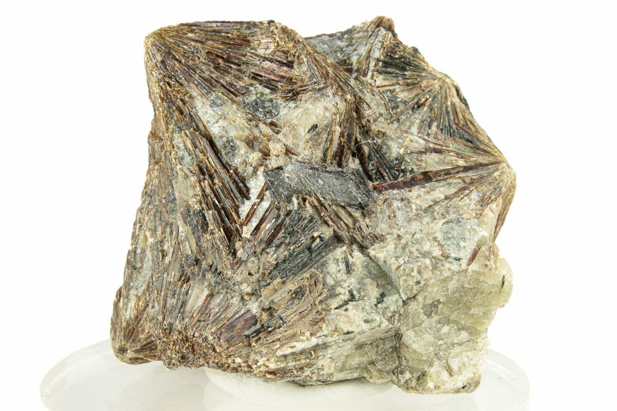 1.4" Lamprophyllite Crystal Aggregations in Matrix - Russia (#257573 ...