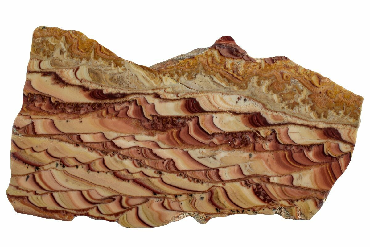5.95" Polished Slab Of Rolling Hills Dolomite - Mexico (#257532) For ...