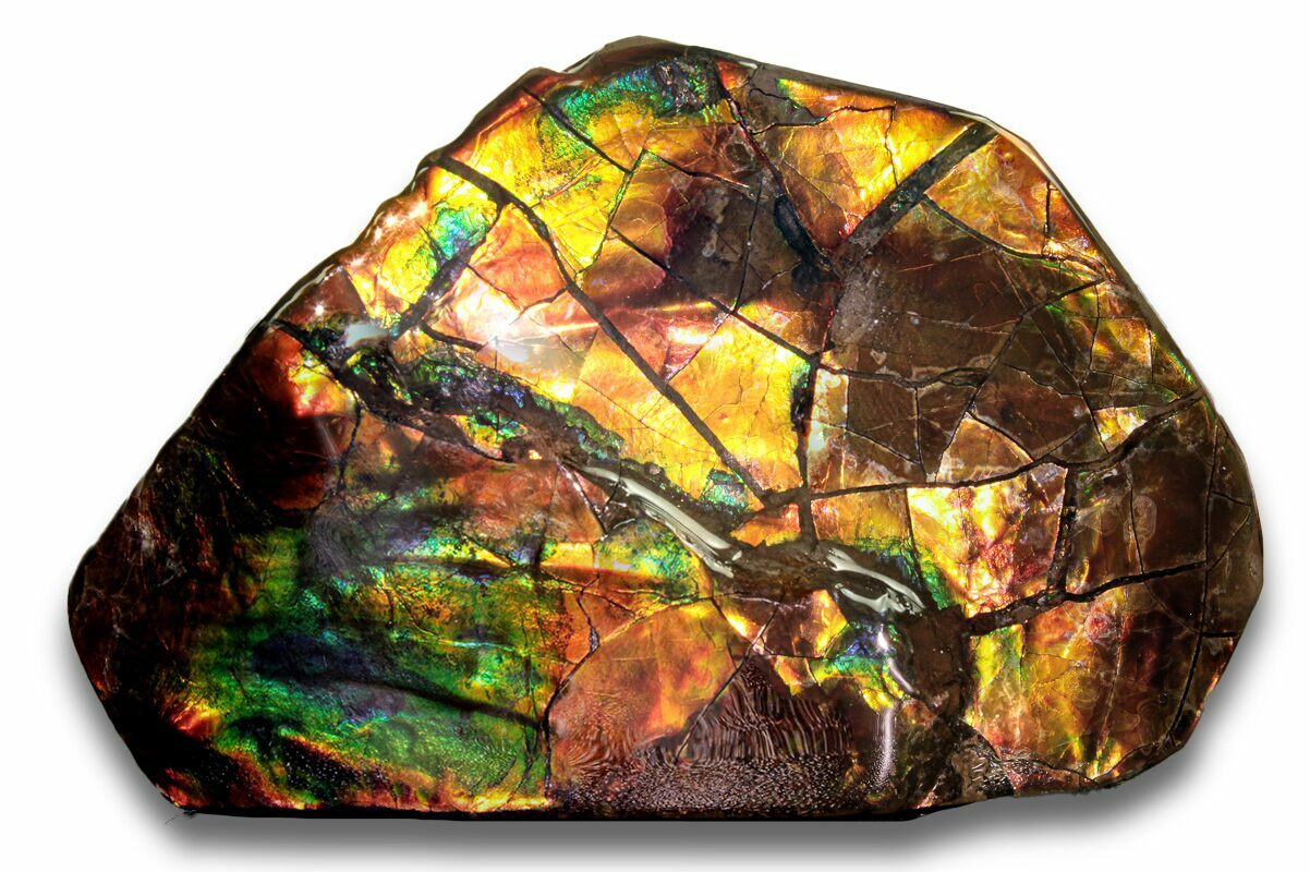 2.85" Flashy Ammolite (Fossil Ammonite Shell) - Alberta, Canada ...
