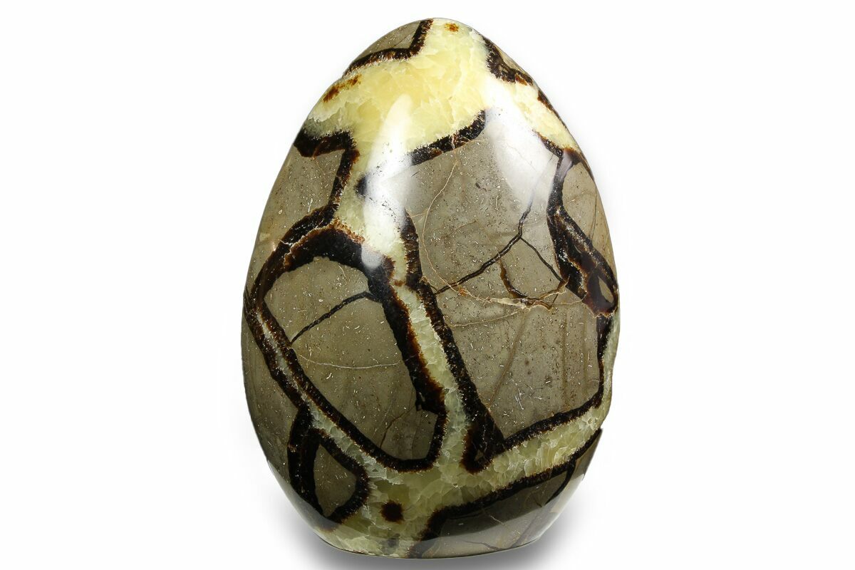 5.7" Free-Standing, Polished Septarian - Madagascar (#258639) For Sale ...