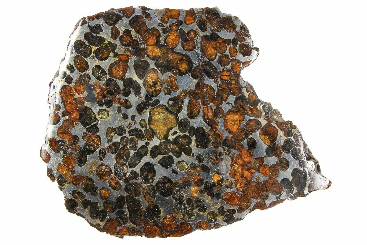 4.65" Polished Sericho Pallasite Meteorite (305 g) Section - Kenya ...