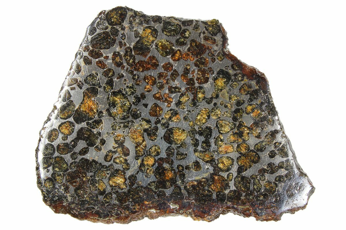 5.15" Polished Sericho Pallasite Meteorite (126 g) Slice - Kenya ...