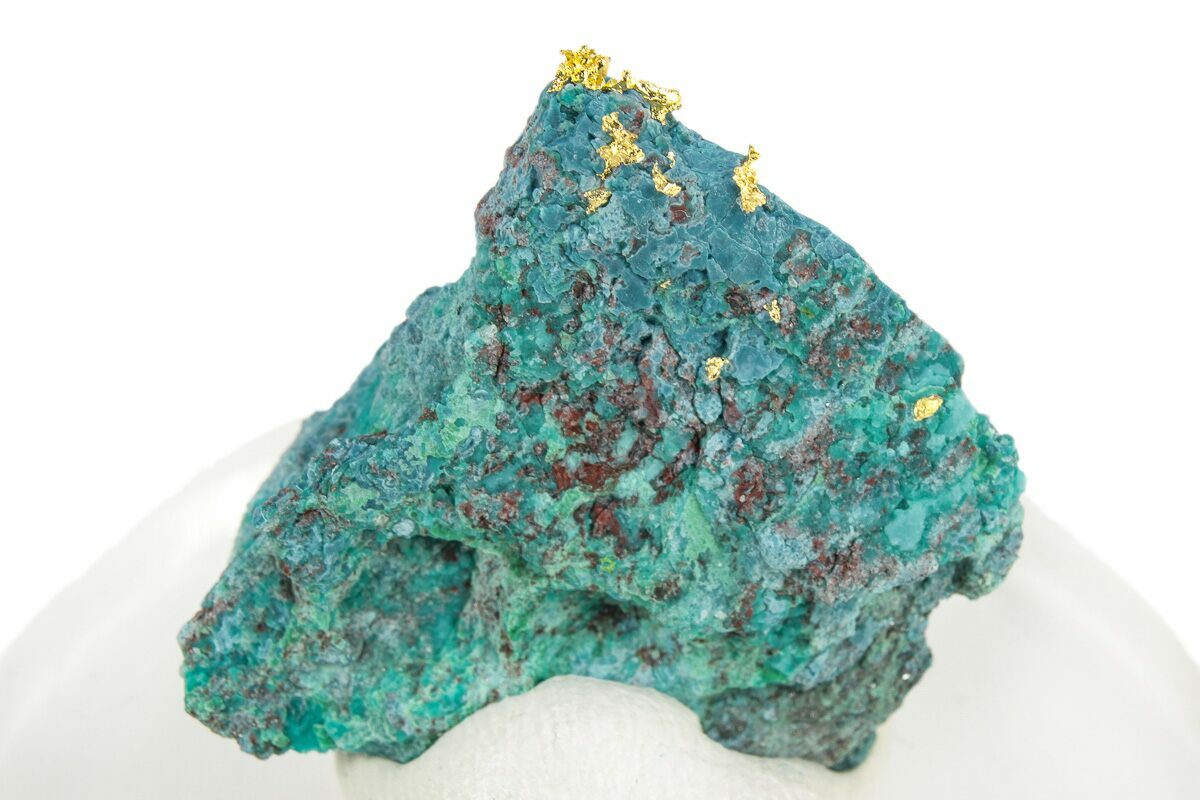 .95" Native Gold in Shattuckite - Namibia (#260094) For Sale ...