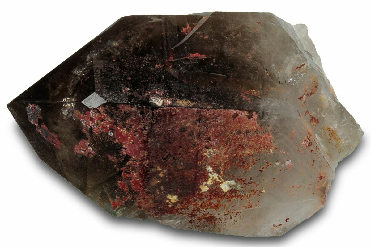 2.4" Dark Smoky Quartz with Amazonite - Colorado (#259959) For Sale ...