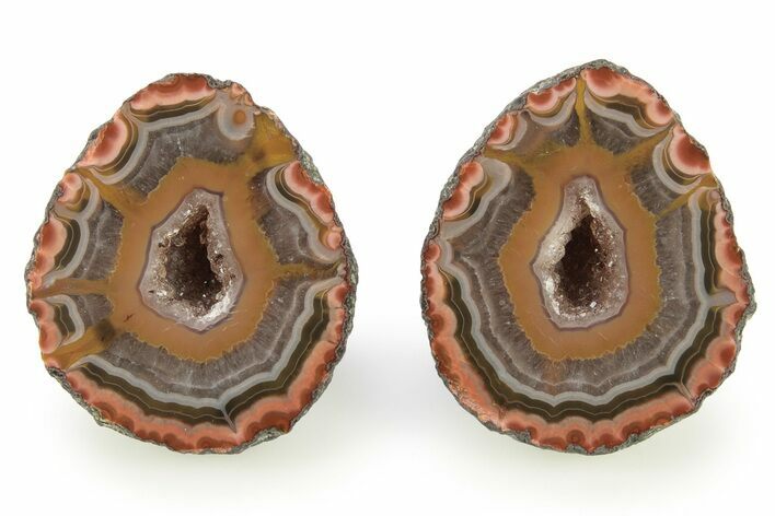1.5" Polished Warring States Agate Nodule Pair - China (#260558) For ...