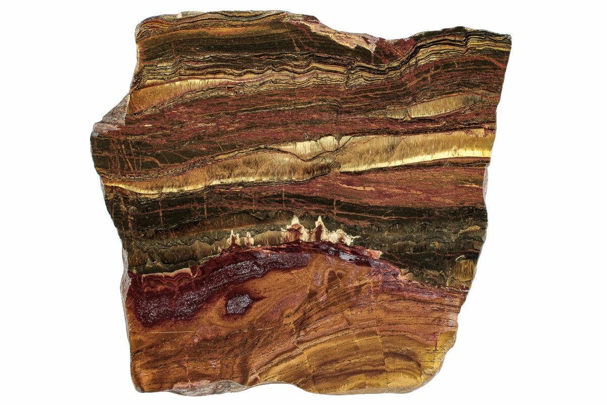 5.1" Polished "Packsaddle" Tiger Eye Slab - Western Australia (#260877 ...