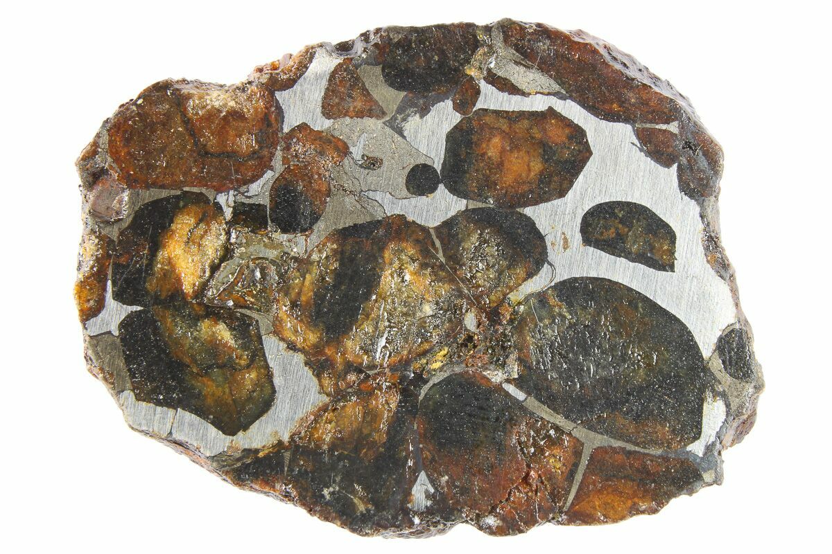 1.25" Polished Sericho Pallasite Meteorite (22.2 g) - Kenya (#262901 ...