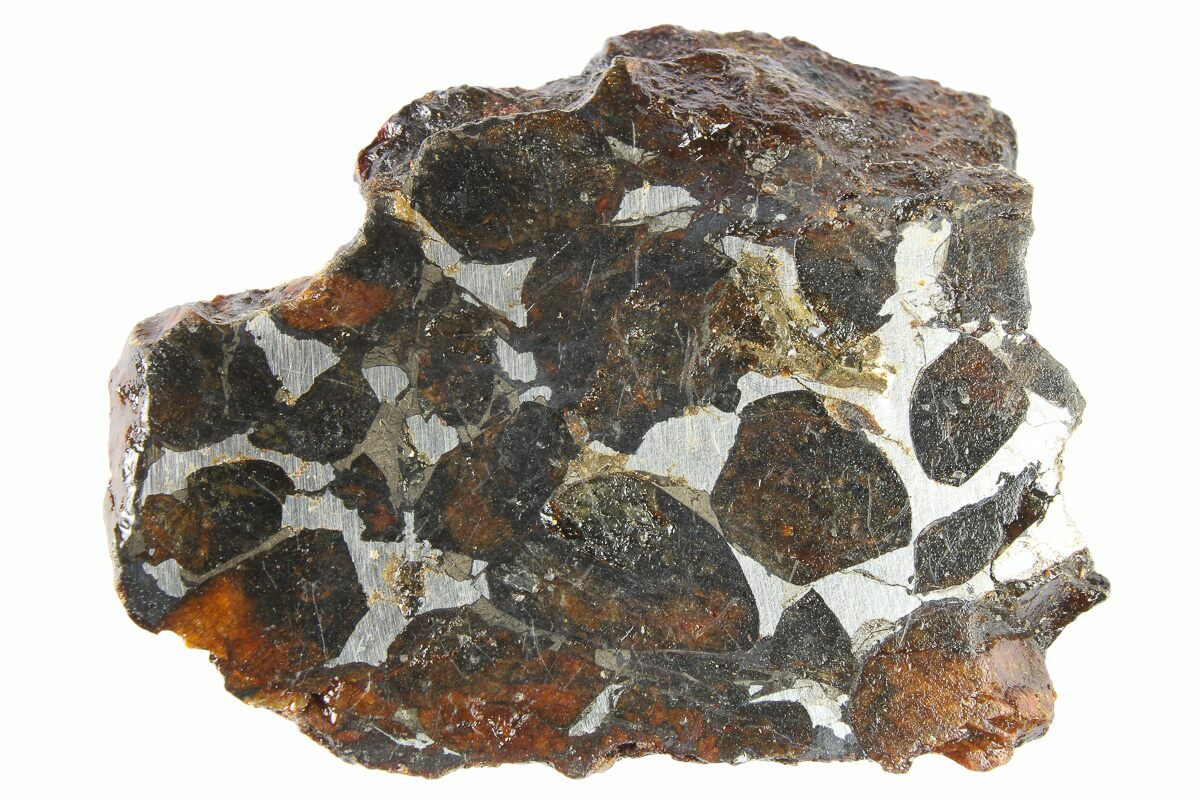 1.5" Polished Sericho Pallasite Meteorite (23.9 g) - Kenya (#262909 ...