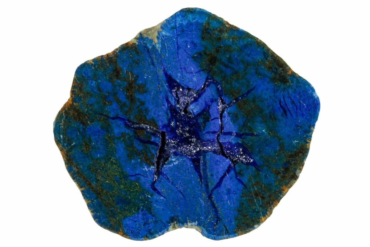 1.25" Vivid Blue, Cut/Polished Azurite & Malachite Nodule - Siberia ...