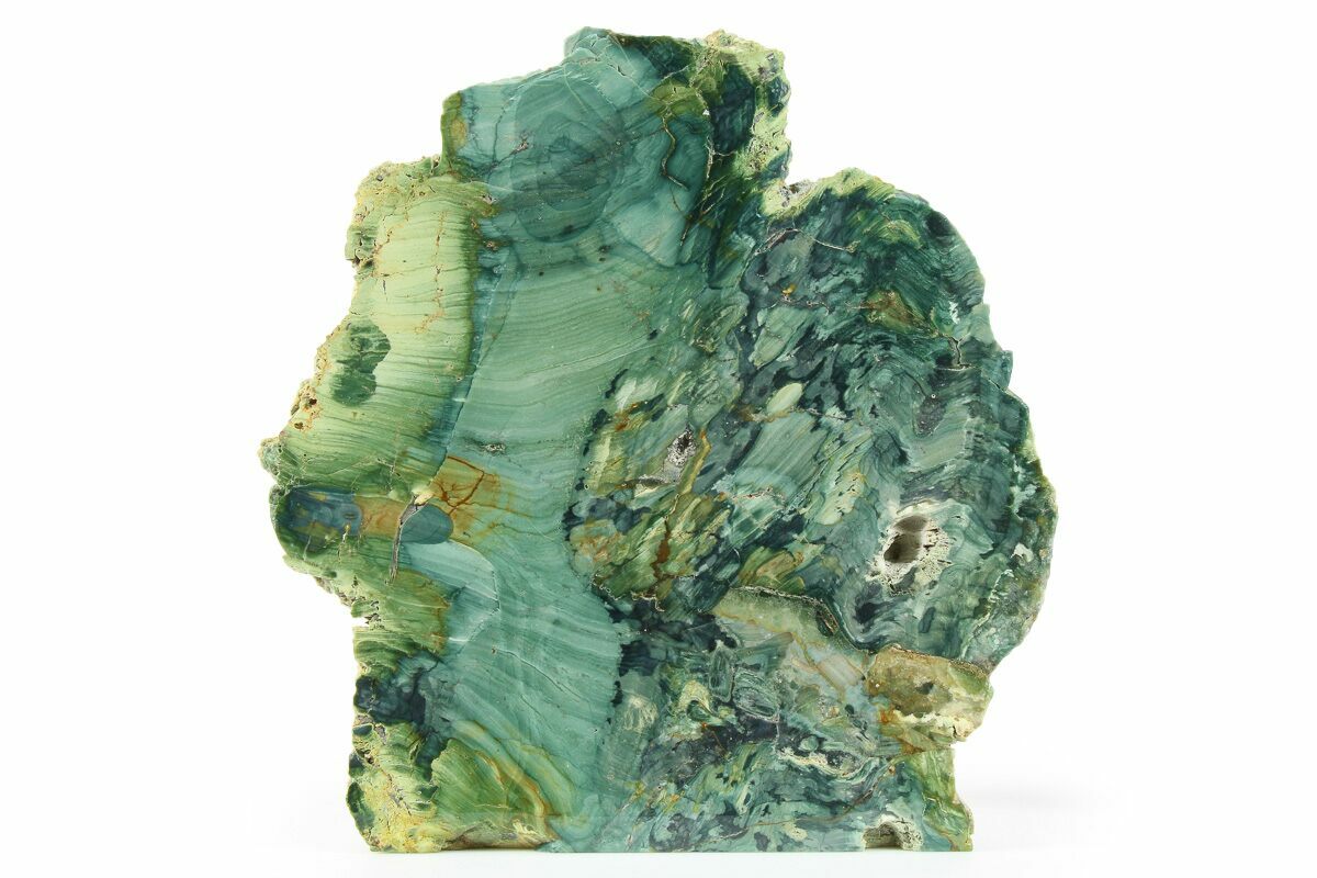 6" Gary Green Jasper (Larsonite) Bog Wood Section - Oregon (#263832 ...