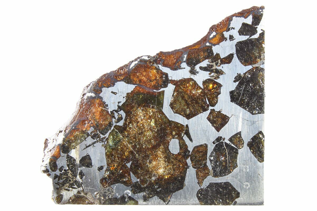 1.45" Seymchan Pallasite Meteorite Slice (12.3 g) - Russia (#263207 ...