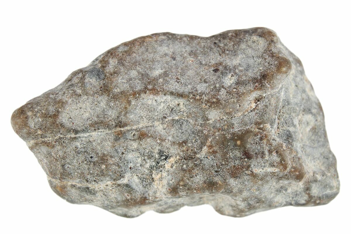 .59" Lunar Meteorite (0.71 g) - NWA 13974 (#267906) For Sale ...