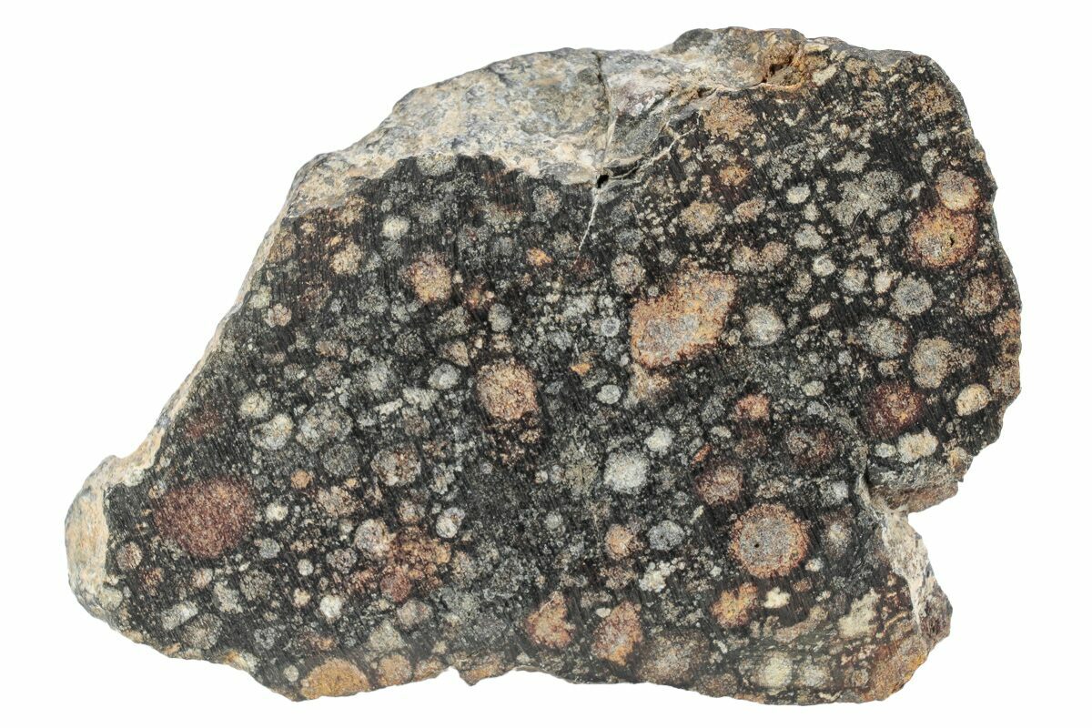 1.08" Chondrite Meteorite Section (5.42 g) - NWA 8160 (#271639) For ...