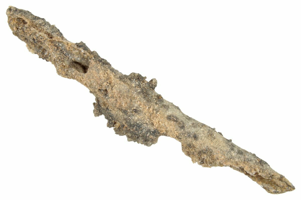 2.7" Fulgurite - "Petrified Lightning" (#277461) For Sale - FossilEra.com