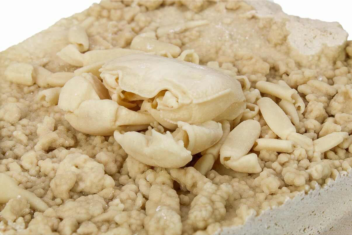 3.05" Fossil Crab (Potamon) Preserved in Travertine - Turkey (#279088 ...