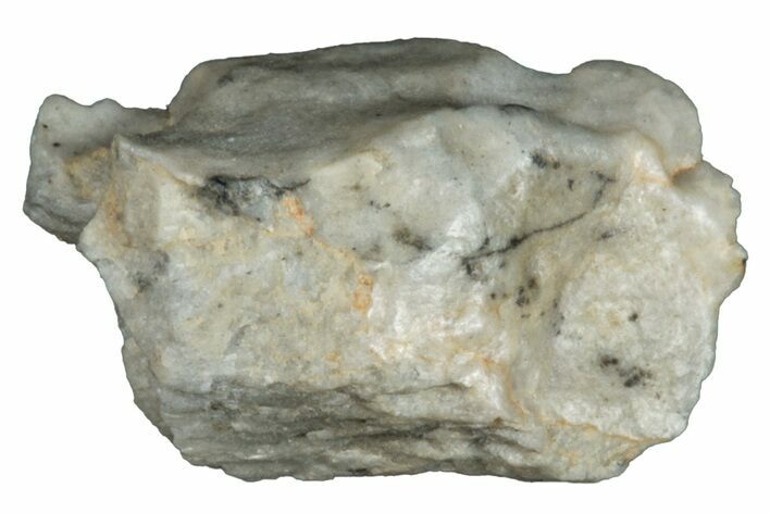 .31" Aubrite Meteorite Fragment - Djoua 001 (#283656) For Sale ...