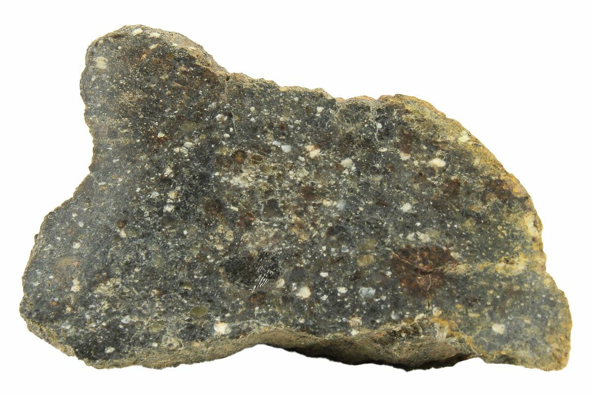 .9" Polished Howardite Meteorite Section (4.5 g) - Bechar 008 (#286922 ...