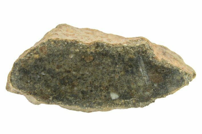 .96" Polished Howardite Meteorite Section (5.3 g) - Bechar 008 (#286967 ...