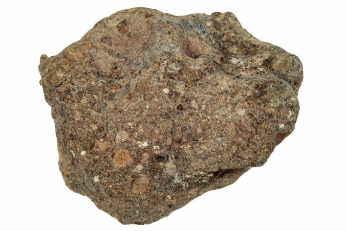 .77" Howardite Meteorite (3.6 g) - Bechar 008 (#287002) For Sale ...