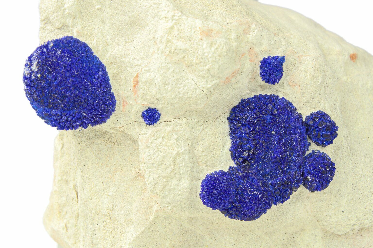 Vibrant Blue Azurite Suns on Siltstone - Australia (#287963) For Sale ...