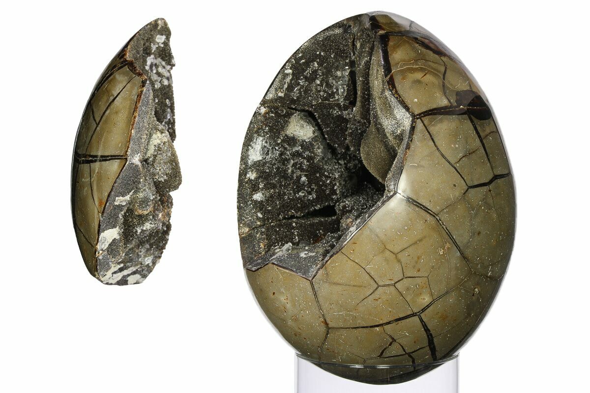 8.5" Septarian "Dragon Egg" Geode - Removable Section (#288074) For ...