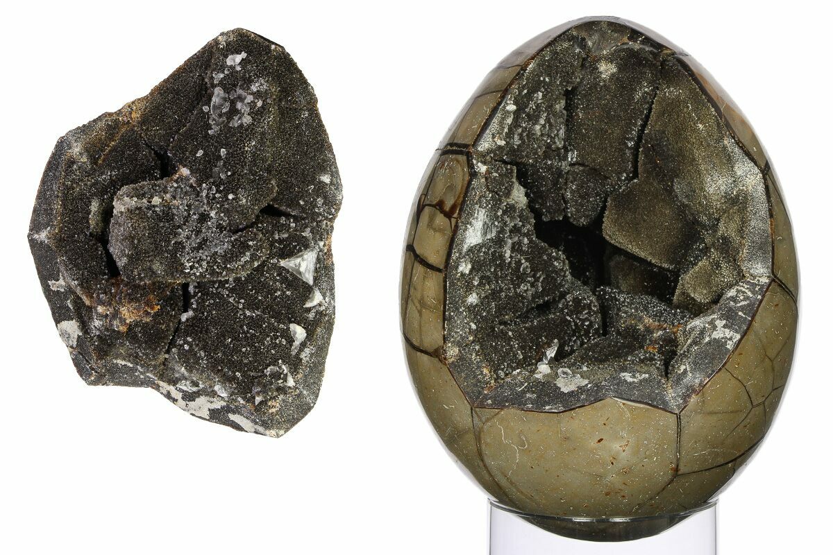 8.5" Septarian "Dragon Egg" Geode - Removable Section (#288074) For ...