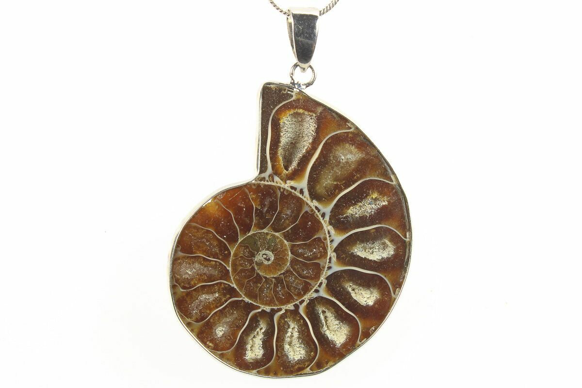 1 8 Fossil Ammonite Pendant 110 Million Years Old 288027 For Sale
